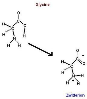 Zwitterion - Its Nature, Occurrence, Ongoing Research