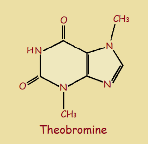 Chocolate Alkaloid Theobromine - Quirky Science