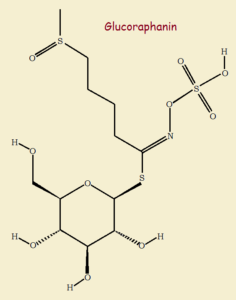 Sulforaphane in Shepherd's Purse: Anti-inflammatory, Anti-bacterial