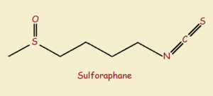Sulforaphane in Shepherd's Purse: Anti-inflammatory, Anti-bacterial