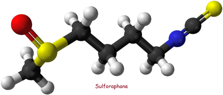 Sulforaphane in Shepherd's Purse: Anti-inflammatory, Anti-bacterial