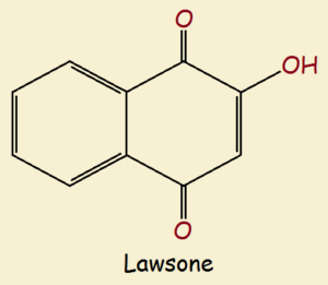 Jewelweed and Its Special Ingredient Lawsone – Poison Ivy Begone?