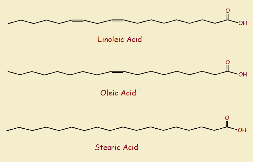 What is Hydrogenation? How Does It Affect Vegetable Oils? - Quirky Science