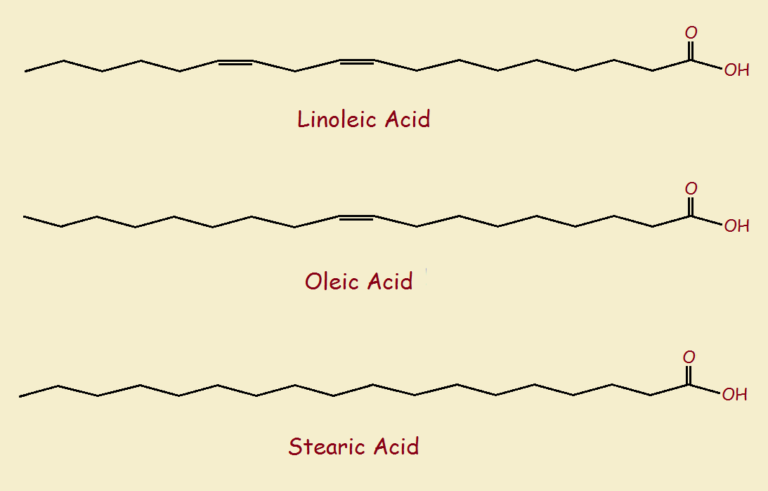 What is Hydrogenation? How Does It Affect Vegetable Oils? - Quirky Science