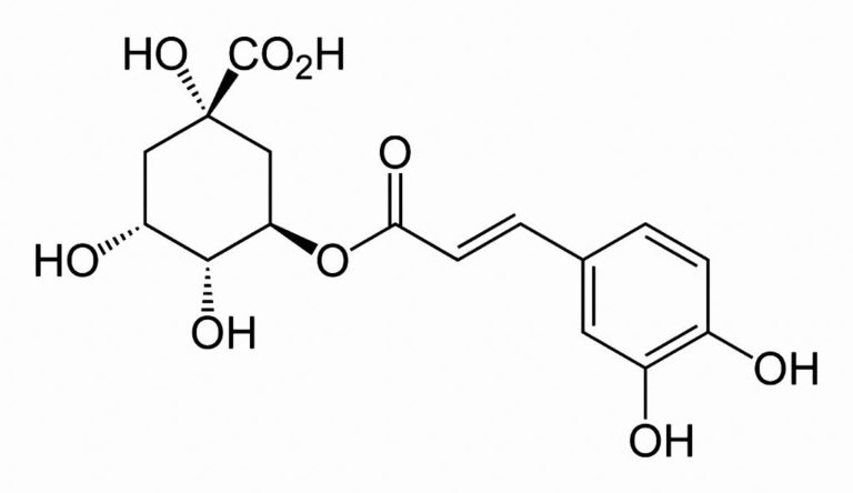 Do the Acids in Coffee Bother You? Chlorogenic Acid and Derivatives