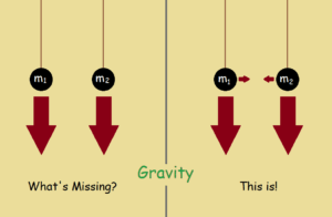 Earth Gravity - Distinguishing the Forest and Trees - Quirky Science