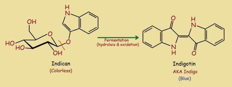 Race, War, Indigo and Coffee in the 19th Century U.S. - Quirky Science