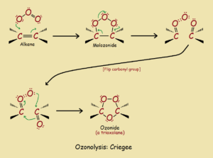 Organic Ozonides - How They Form, How They React - Quirky Science
